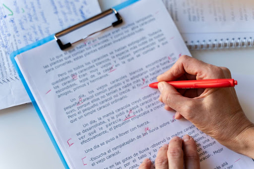 What is the IB Extended Essay and How to Approach its Writing ...